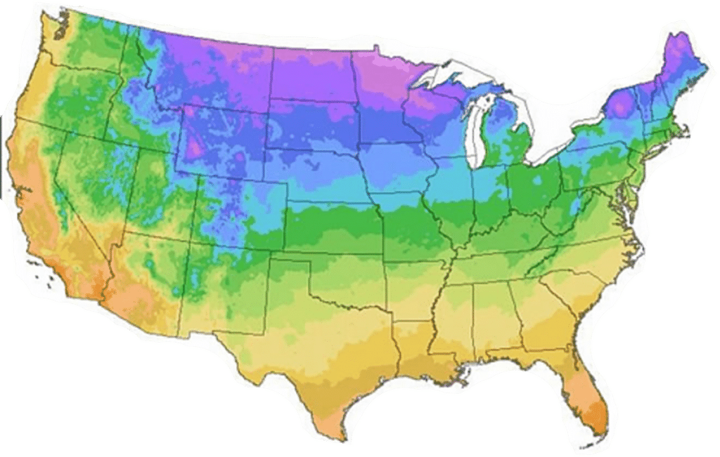 Colorblends® - Wholesale Flower Bulbs. Tulips and Daffodils for Fall ...